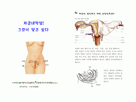 자궁내막암 교육자료-1페이지