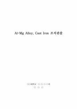 미세 조직 관찰 (al-mg alloy, cast iron)-1페이지