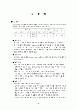 골격계의 구성과 질환-1페이지