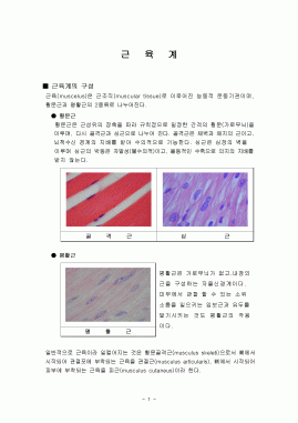 근육계의 구성과 질환-1페이지