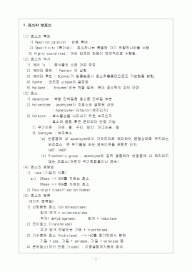 효소에 대한 정리자료-1페이지