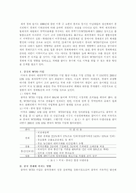 중국의 WTO가입 경제론-1페이지