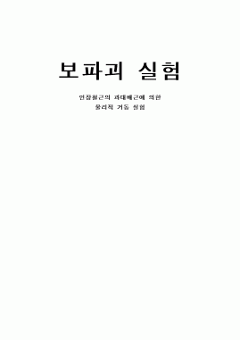 철근 콘크리트 보에 대한 연구와 보 파괴 실험 결과 분석-1페이지