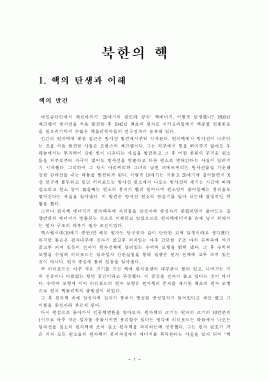 북한은 왜 핵을 만드는가 북한 핵의 교훈과 우리의 대응-1페이지