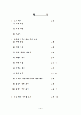 민속조사 현장 답사 보고서-1페이지