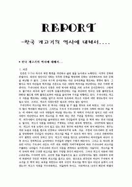 한국 개고기의 역사에 대해서-1페이지