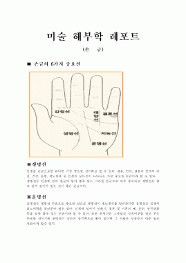 미술 해부학 레포트(손금의 모든것)-1페이지