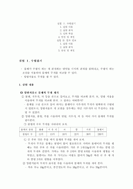 과학 실험 보고서-1페이지