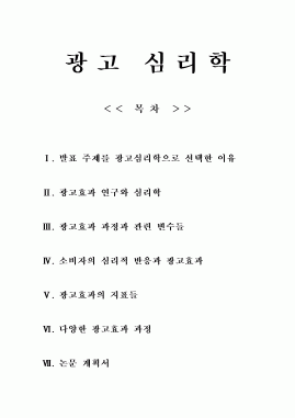 광고심리학 논문계획서-1페이지