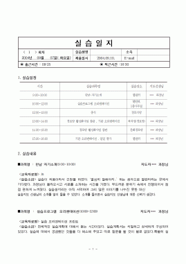 사회복지 실습일지 13회모음집-1페이지