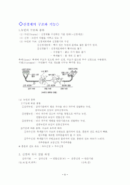 신경계의 구성과 기능-1페이지