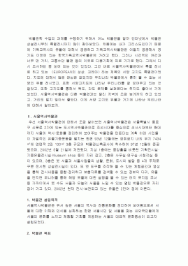 서울 역사박물관 견학-1페이지