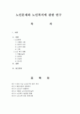 노인문제와 노인복지에 관한 연구-1페이지