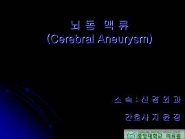 뇌 동  맥 류(Cerebral Aneurysm)-1페이지