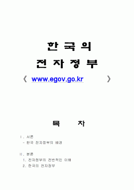 한국의 전자정부-1페이지