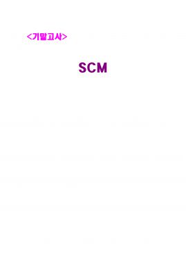 SCM 분석 레포트-1페이지