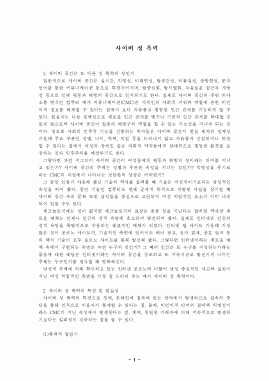 사이버 성 폭력-1페이지