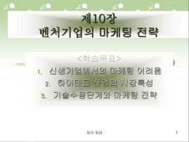 벤처기업의 마케팅 전략-1페이지