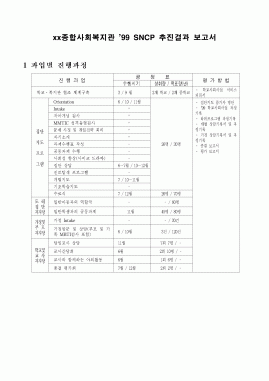 SNCP 추진결과 보고서-1페이지