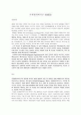 국제원자력기구-1페이지