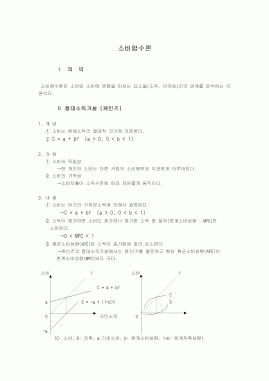 소비함수론-1페이지