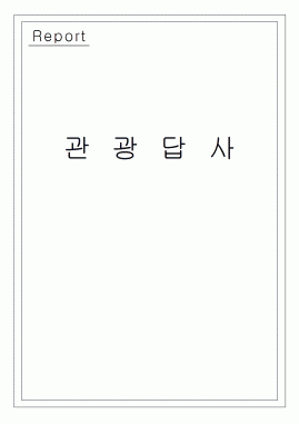 서울지역(롯데월드, 동대문, 경복궁, 창덕궁, 국회의사당 등) 관광답사 감상문-1페이지