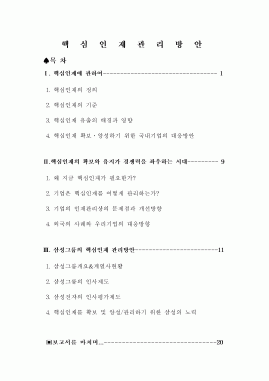 핵심인재 관리방안-1페이지