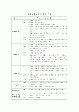 국민기초생활보장제도의 문제점과 발전방향-1페이지