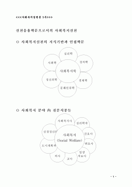 실천응용학문으로서의 사회복지실천-1페이지