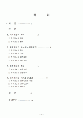 자기개념이 소비행동에 미치는 영향과 마케팅전략 수립-1페이지