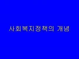 [사회과학] 사회복지정책의 개념 [분석/조사]-1페이지