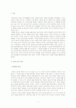 광고언어에서 의미전이 분석-1페이지