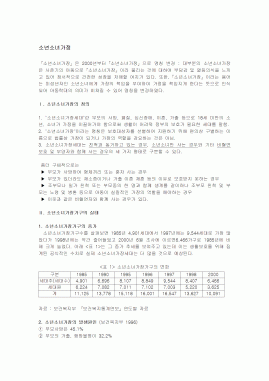 소년소녀가장의 실태와 문제점 및 해결방안-1페이지