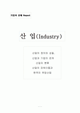 기업과 경제 산업(Industry)-1페이지