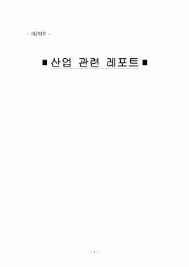 [분석/조사] 산업에 대하여 -1페이지