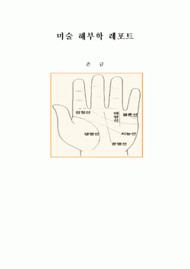 미술 해부학(손금)-1페이지