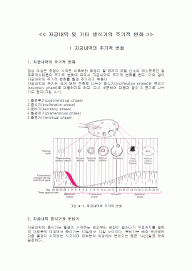  자궁내막 및 기타 생식기의 주기적 변화-1페이지