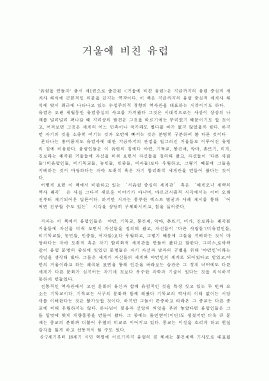 [인문과학] 거울에 비친 유럽 [독후감]-1페이지