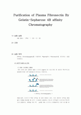  실험보고서( Purification of Plasma Fibronectin By Gelatin-Sepharose 4B affinity Chromatography)-1페이지