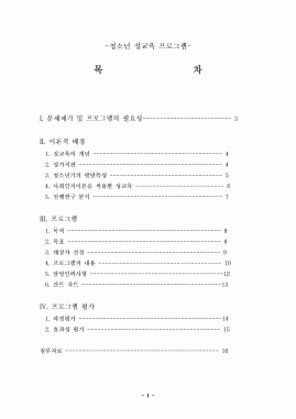 청소년 성교육 프로그램--1페이지