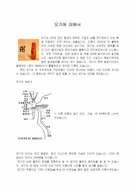  모기에 대해서-1페이지