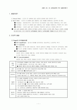 인지적발달과 정의적 발달-1페이지