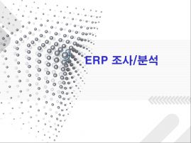 ERP 국내와 국외 밴더 조사와 implementation-1페이지