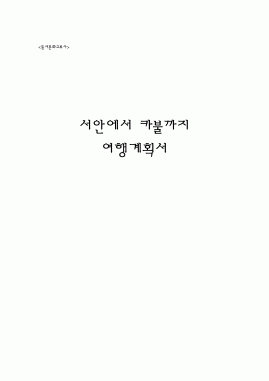 [기타] 여행계획서 -1페이지