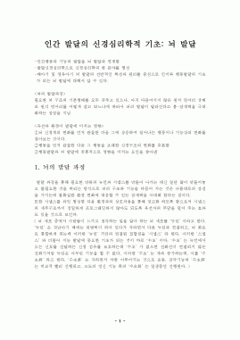 인간 발달의 신경심리학적 기초-1페이지