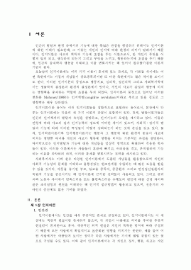 인지이론발달-1페이지