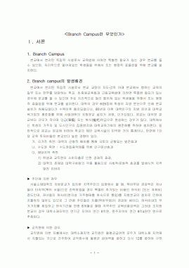 브렌치캠퍼스(Branch Campus)란 무엇인가?_분교의실태-1페이지