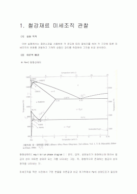 철강재료 미세조직 관찰-1페이지