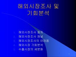 해외시장분석및 기회분석-1페이지