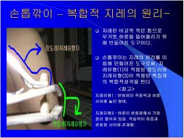  손톱깎이에 적용된 지레의 원리-1페이지